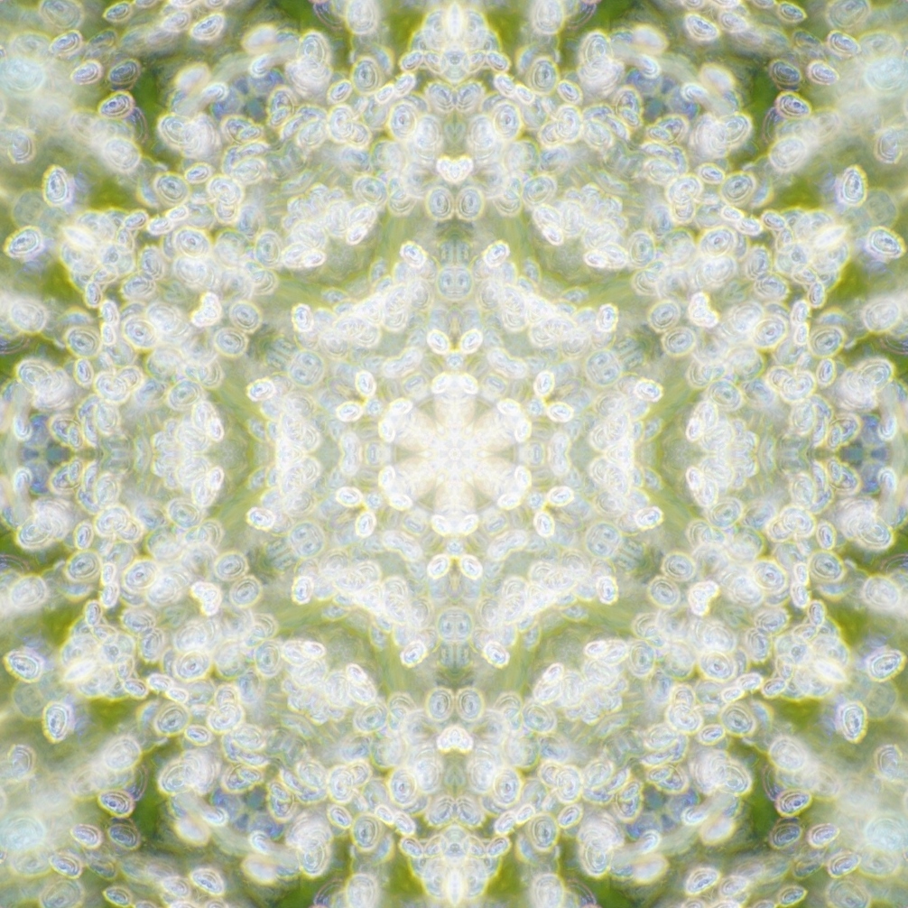 Living Light Mandalas - Louise Hargreaves - Dancing Dragonfly, Derby